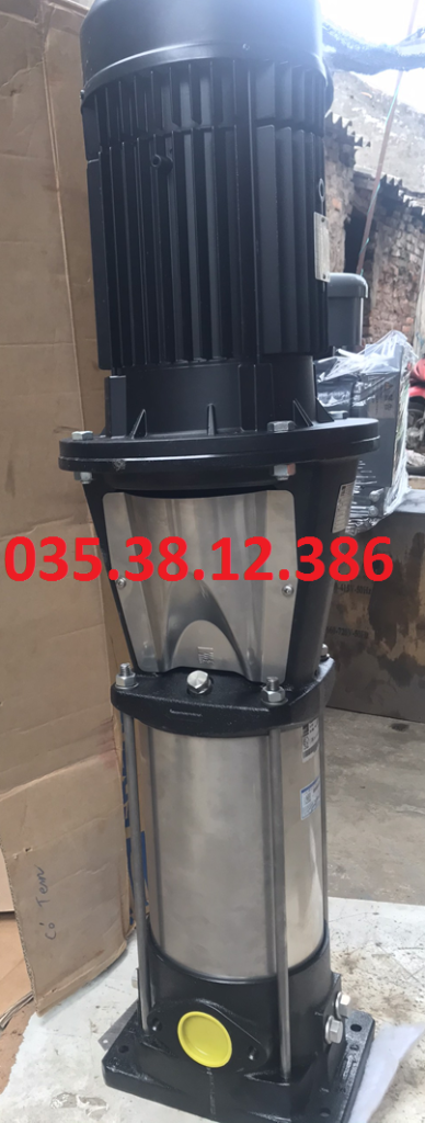 Ebara EVMSG 20 3F5 Q1BEG CÔNG TY CỔ PHẦN HOÀNG GIA